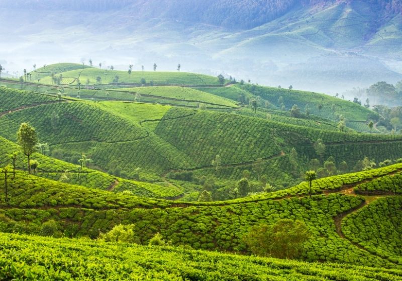Sikkim Darjeeling Tour 4nights/5days | Unique Getaways, Activities ...